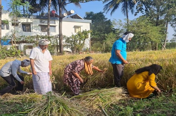 PHOTO | साताऱ्यात उदयनराजेंचा पराभव करणारे खासदार श्रीनिवास पाटील चक्क ...